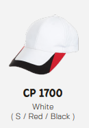 Baseball 6-Panel Cotton Brush Cap CP17-F030 – Freemiums.MY