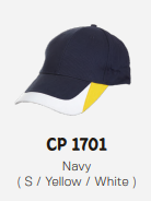 Baseball 6-Panel Cotton Brush Cap CP17-F030 – Freemiums.MY