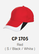 Baseball 6-Panel Cotton Brush Cap CP17-F030 – Freemiums.MY