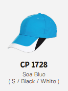 Baseball 6-Panel Cotton Brush Cap CP17-F030 – Freemiums.MY